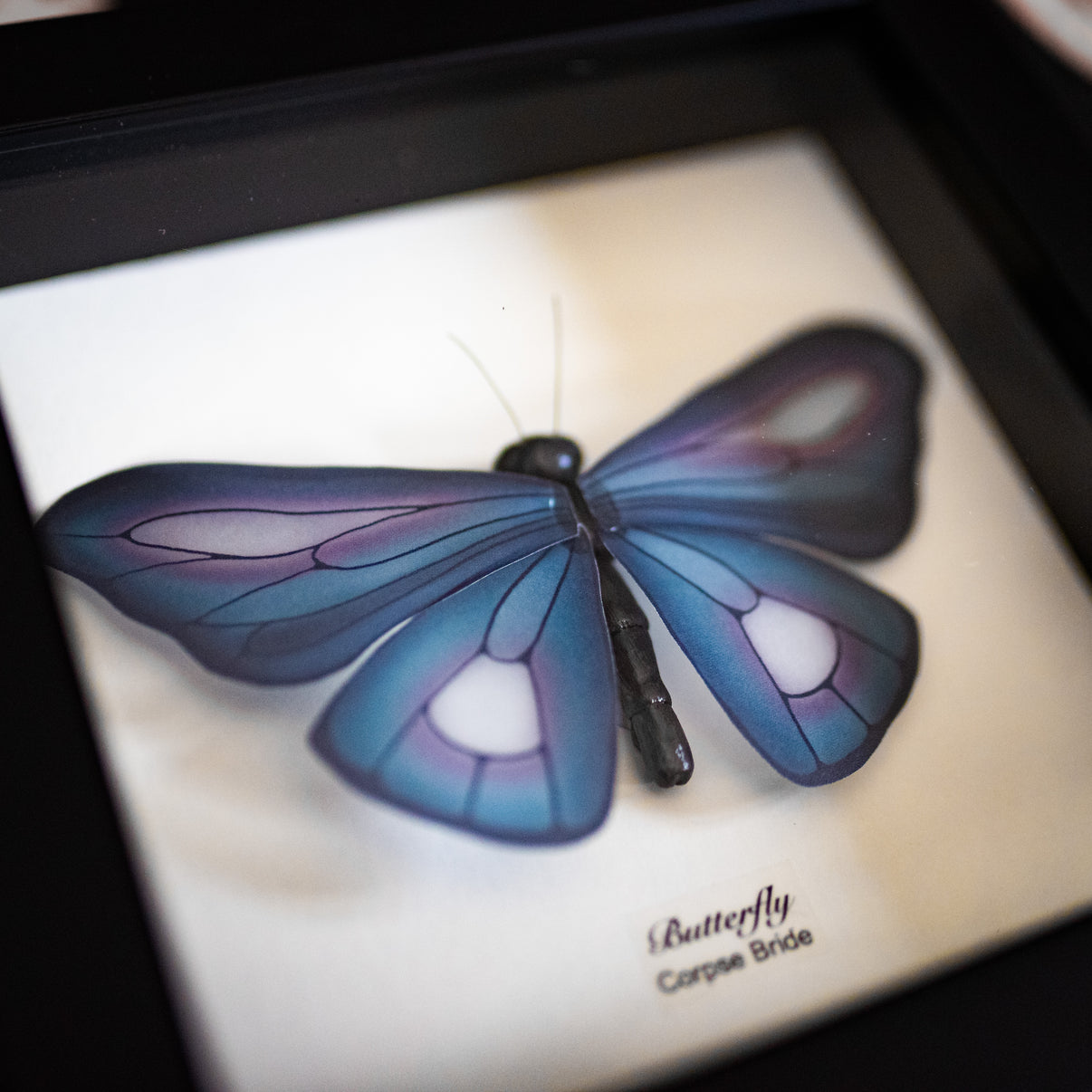 Corpse Bride Butterfly Taxidermy - 6x6 Shadowbox [Vault Item ...