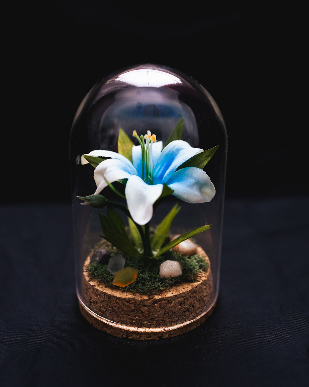 Silent Princess - Legend of Zelda Mini Terrarium – Overcast Oddities
