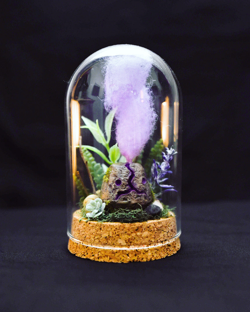 Odd Keystone Pokémon Mini Terrarium [Vault Item] – Overcast Oddities