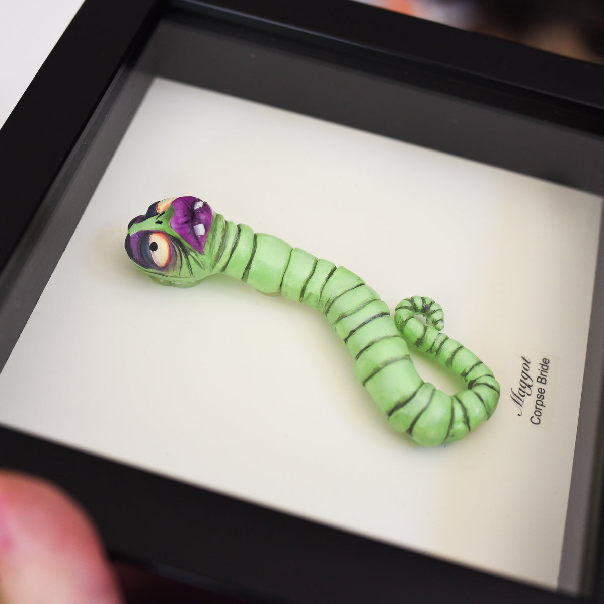 Maggot - Corpse Bride Taxidermy - 6x6 Shadowbox – Overcast Oddities