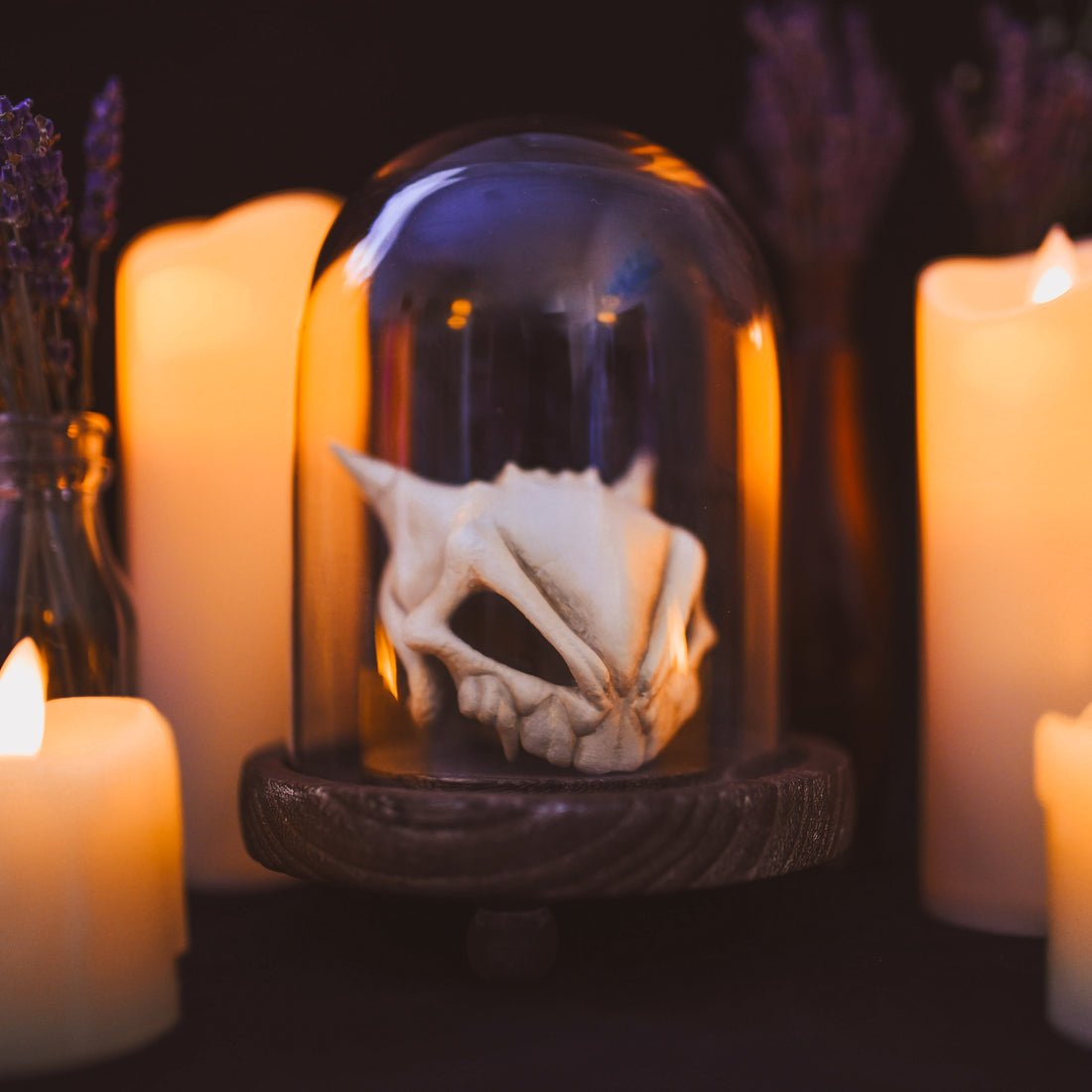 Gengar Skull Pokémon Terrarium – Overcast Oddities